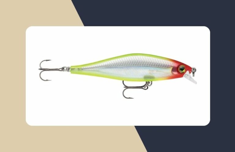 Pêche à l’achigan : les meilleures techniques pour faire de belles ...