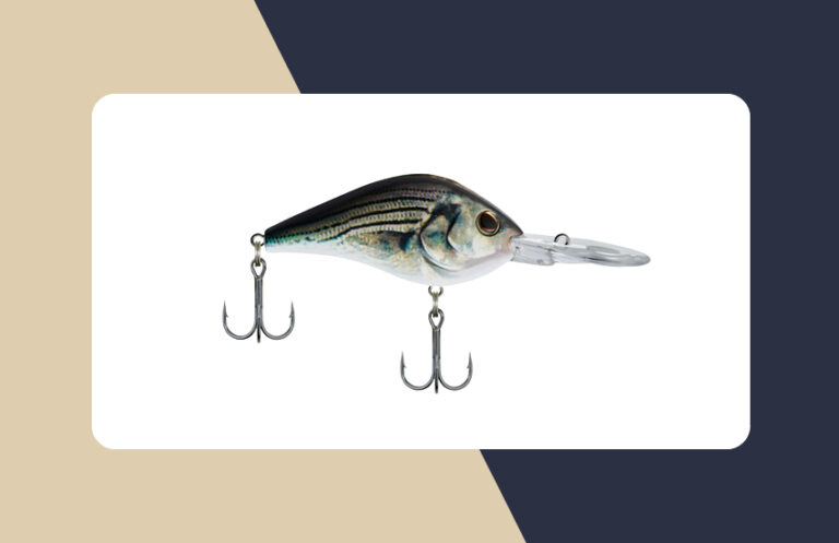 Pêche à l’achigan : les meilleures techniques pour faire de belles ...