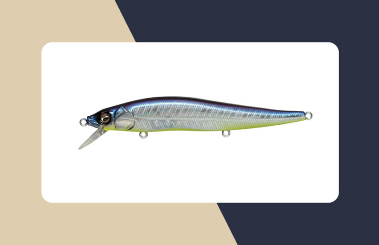 Pêche à l’achigan : les meilleures techniques pour faire de belles ...