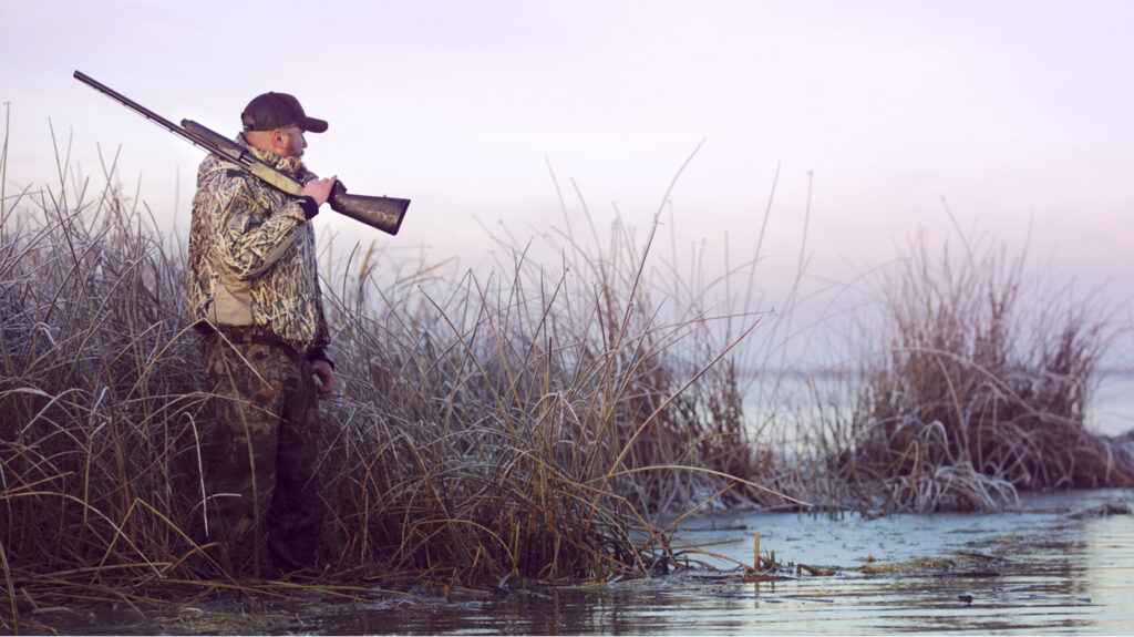 Chasse aux oiseaux migrateurs : nos meilleurs conseils pour bien s ...