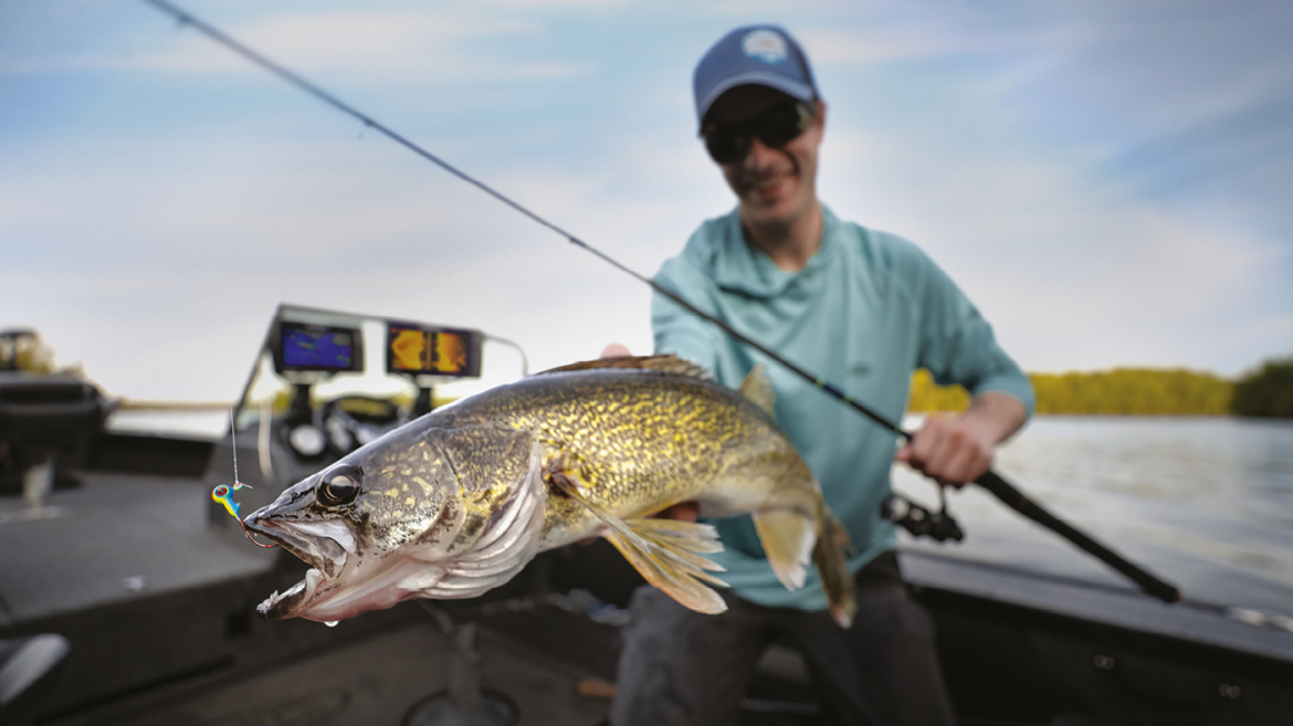 walleye articles