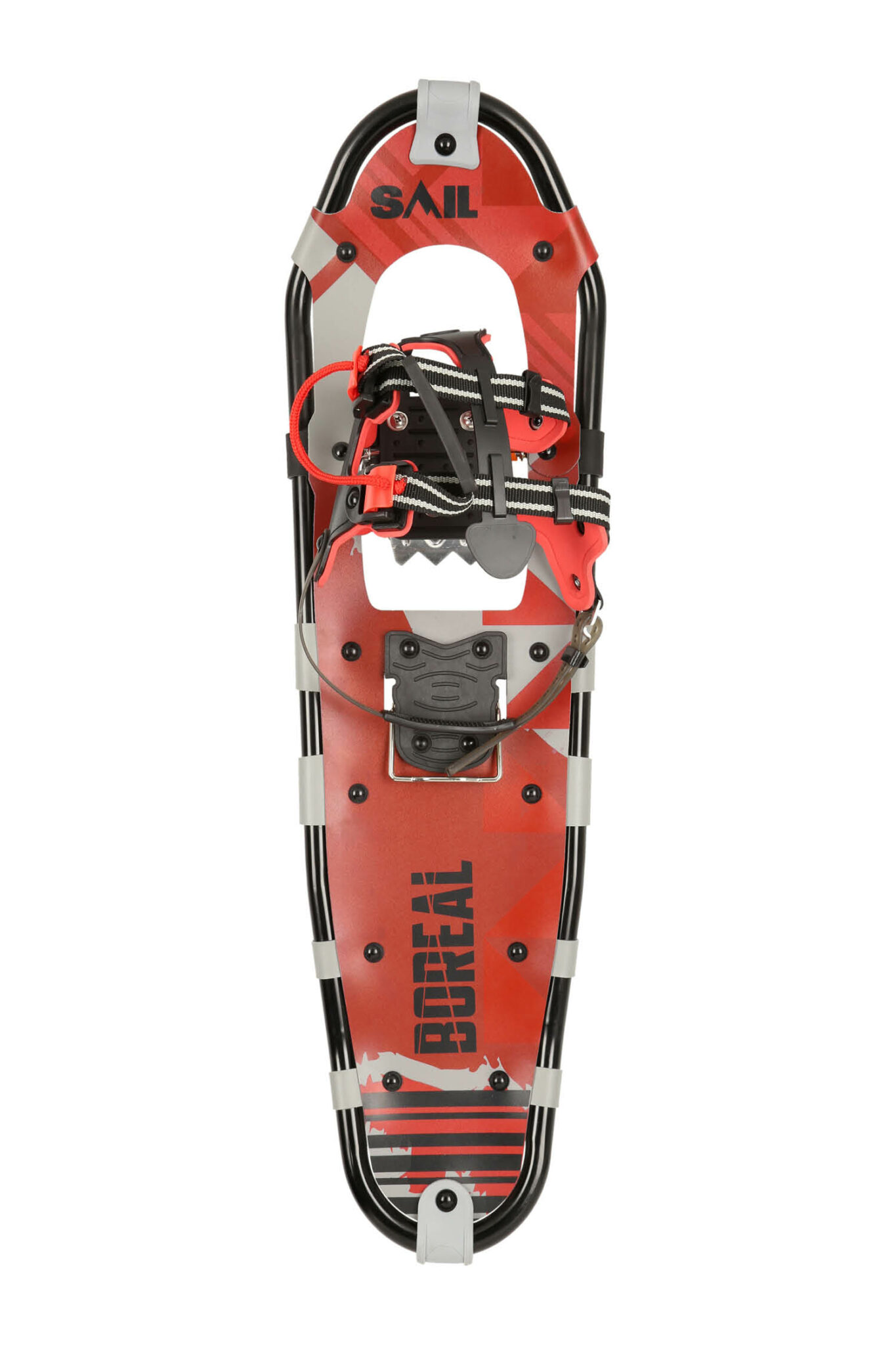 Snowshoeing: 4 activities to discover this winter | SAIL Blog