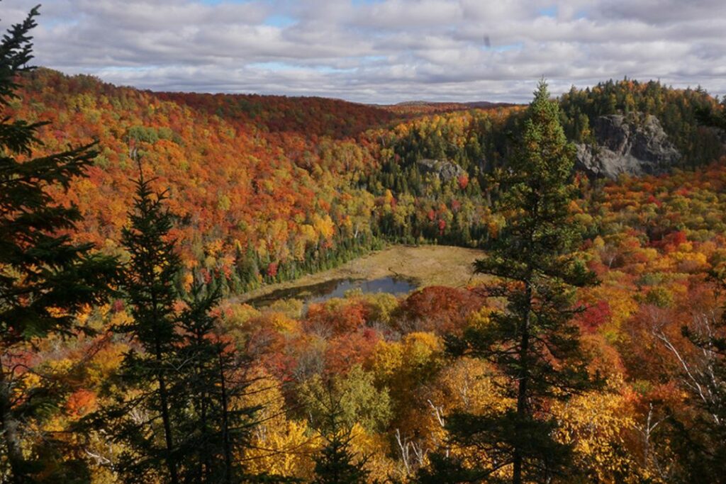 Top 7 destinations to go hiking with your dog in Quebec and Ontario ...