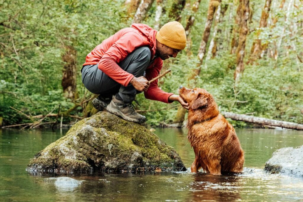 7 destinations où randonner avec son chien au Québec et en Ontario ...