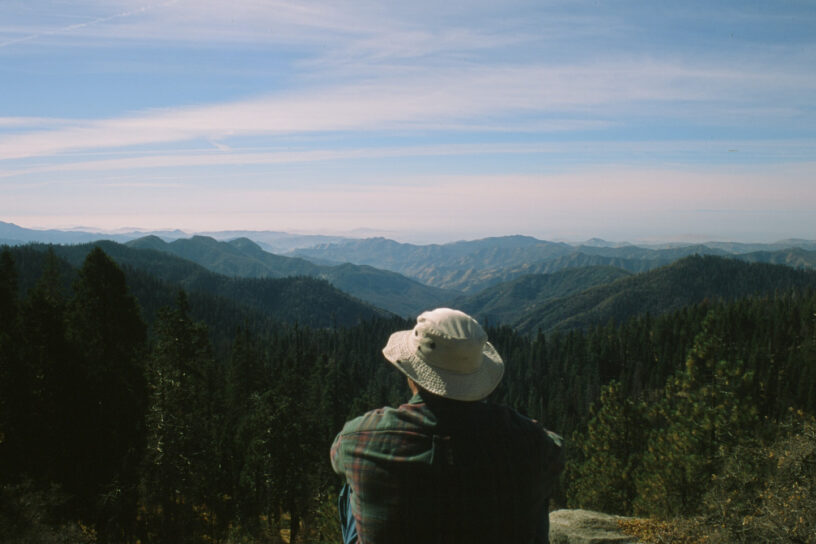 Tentree: ecological clothing and reforestation | SAIL Blog