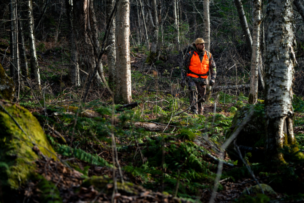 Moose Hunting: All the Essentials | SAIL Blog